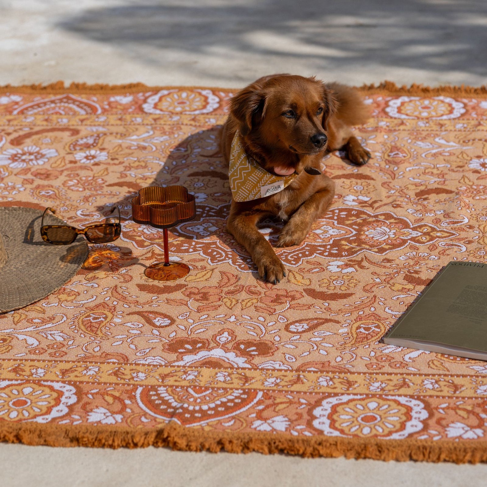 Isla Label Sale - Shop the Best Deals Now – ISLA Label Australia